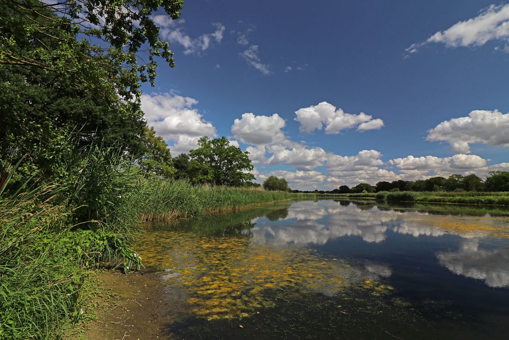 Licht im August Foto & Bild | spezial, landschaften, sommer Bilder auf ...