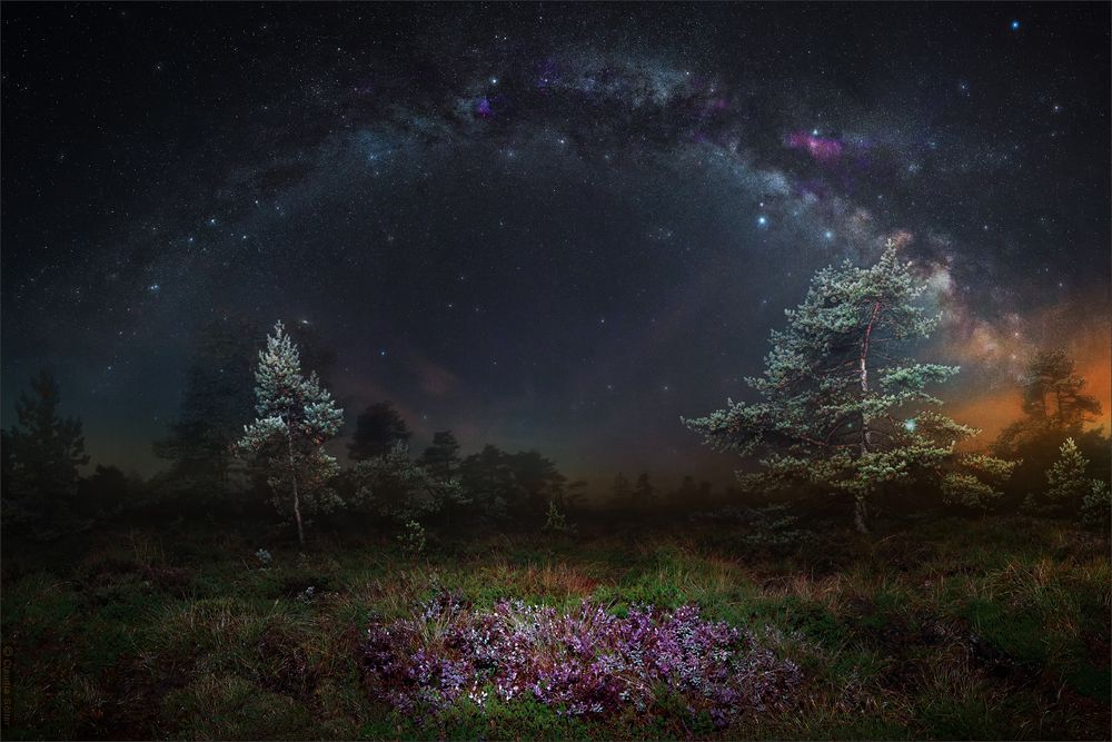 Licht im Dunkel Foto & Bild | spezial, landschaften, nacht Bilder auf ...