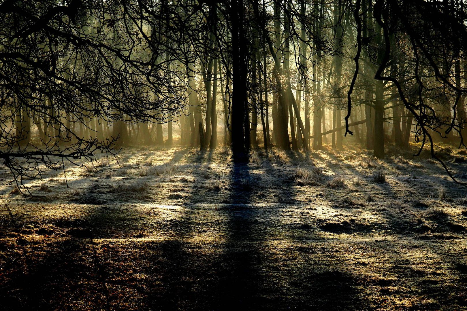 Licht und Schatten Foto & Bild | landschaft, Äcker, felder & wiesen ...