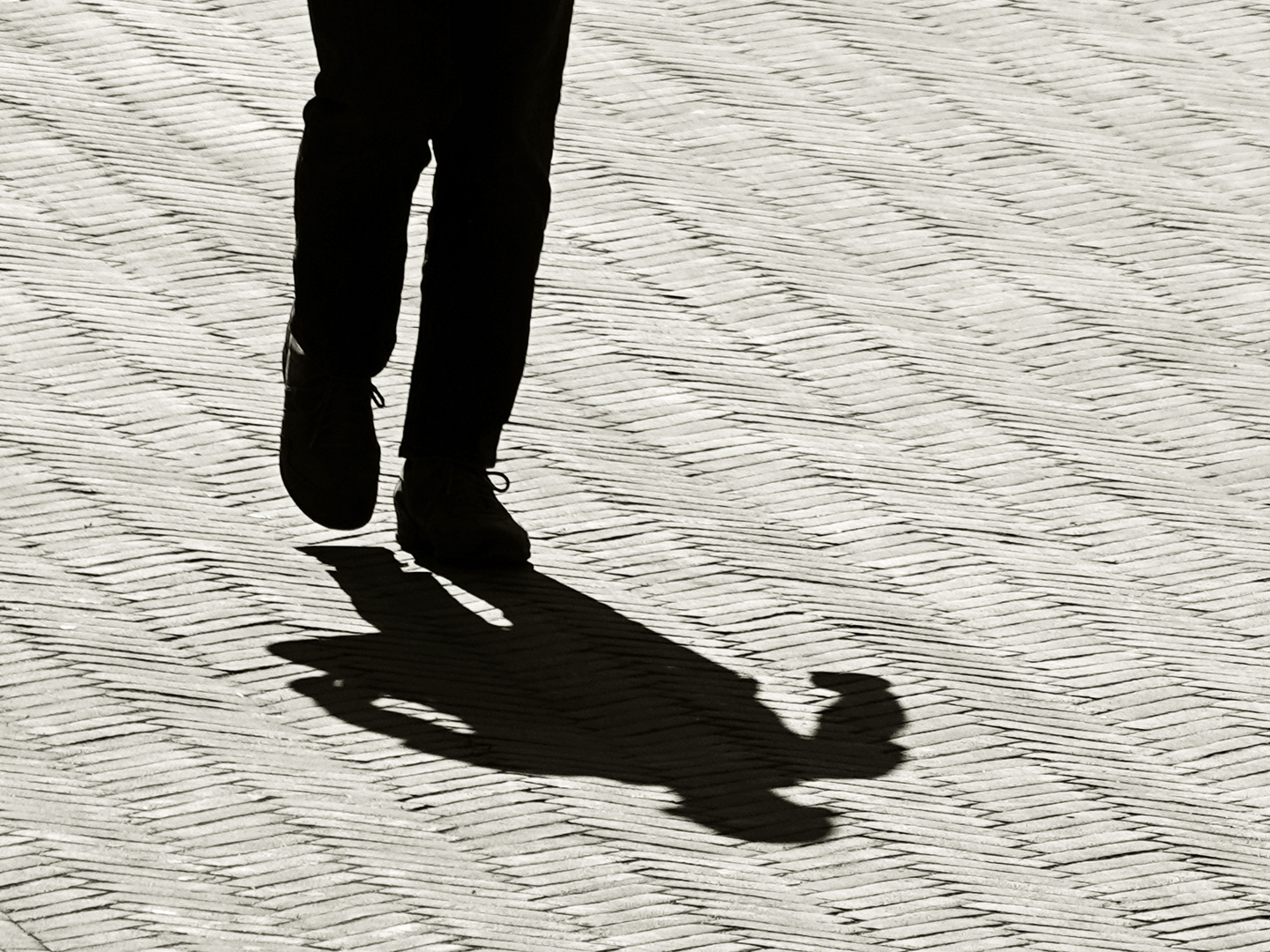 Licht und Schatten Foto & Bild | erwachsene menschen, konzept- fotografie, monochrom Bilder auf ...