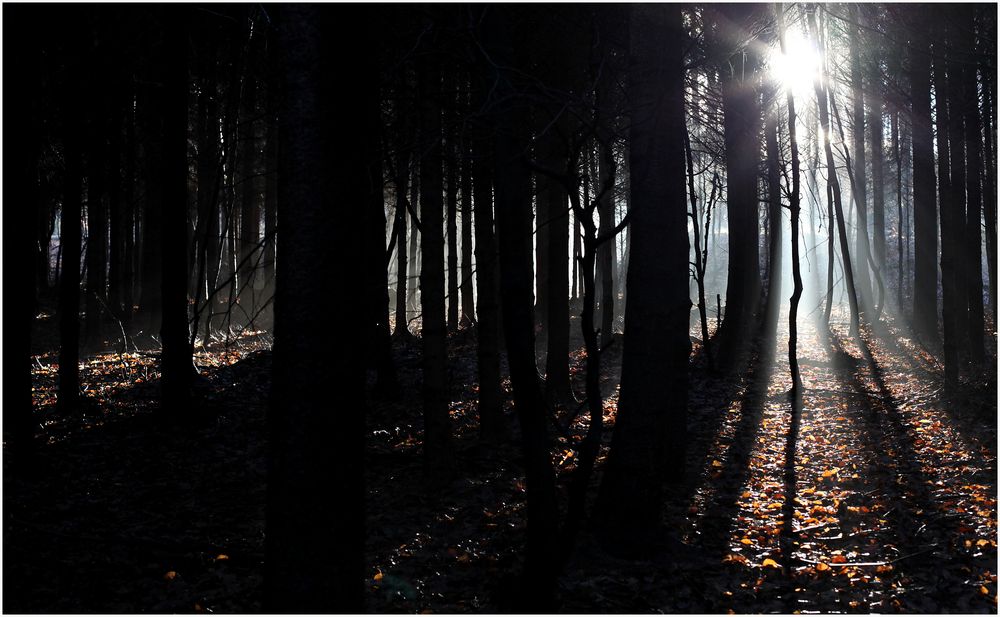 Licht vertreibt die Finsternis Foto & Bild | jahreszeiten, winter ...