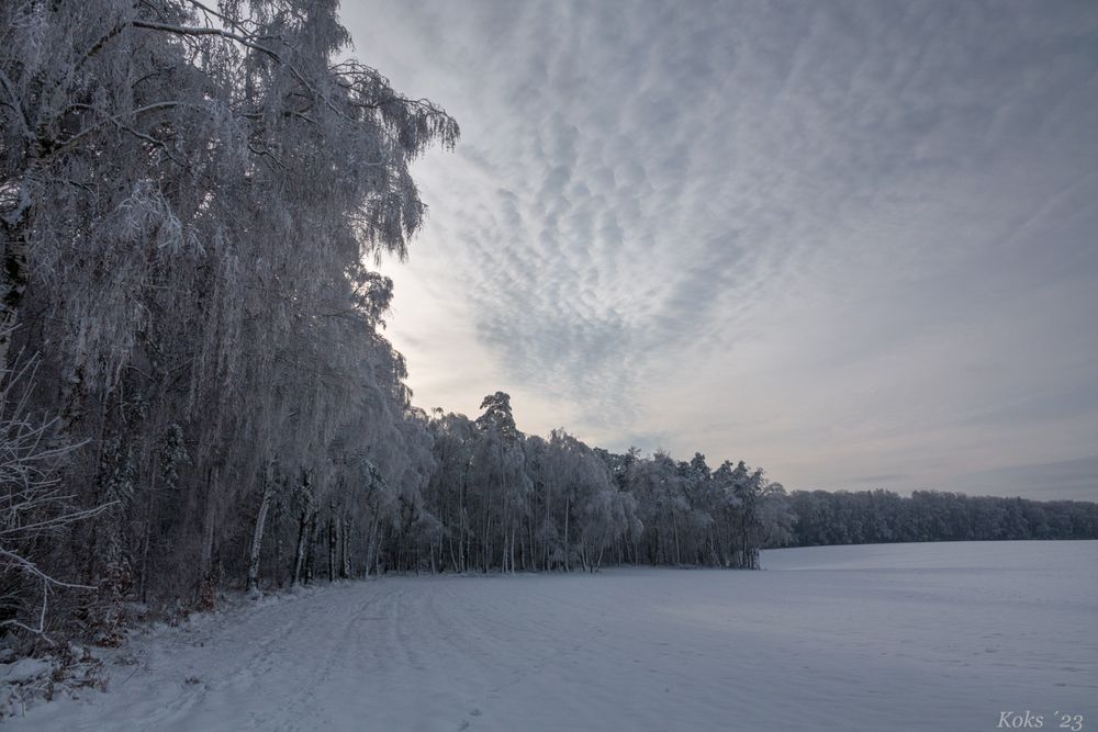 Lichtblick Foto & Bild | landschaft, jahreszeiten, winter Bilder auf fotocommunity