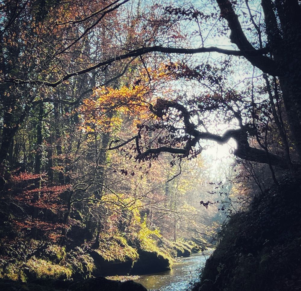 Licht–Fluss Foto & Bild | landschaft, jahreszeiten, herbst Bilder auf fotocommunity