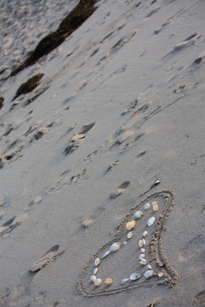 Liebe in den Dünen... - Bild & Foto von Benjamin Dirks aus Adobe ...