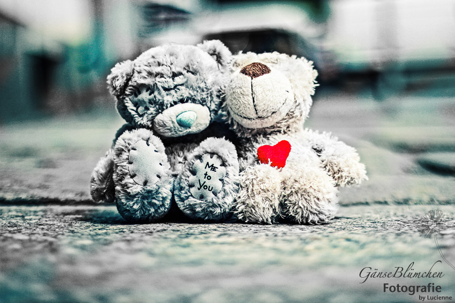 Liebe ist.... Foto & Bild | stillleben, teddys, motive Bilder auf ...