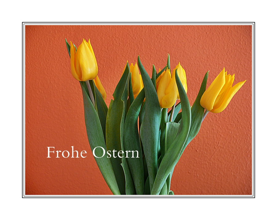 liebe Ostergrüße Foto & Bild | karten und kalender, osterkarten ...