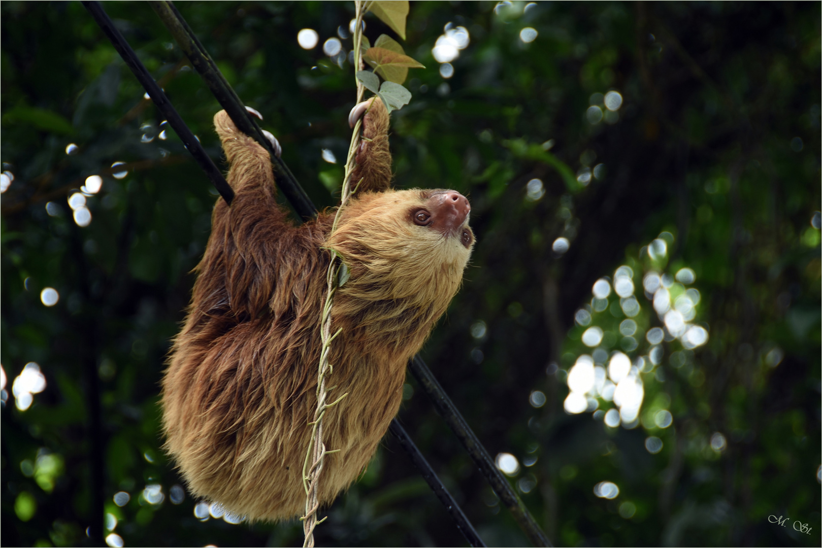 Lieber faul... Foto & Bild | spezial, natur, emotionen Bilder auf ...