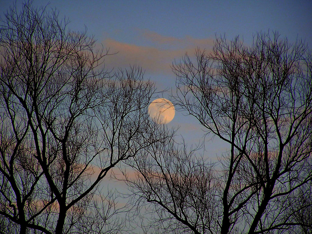 Liebesbeweis für min Fru Foto & Bild | mondaufnahmen, himmel ...
