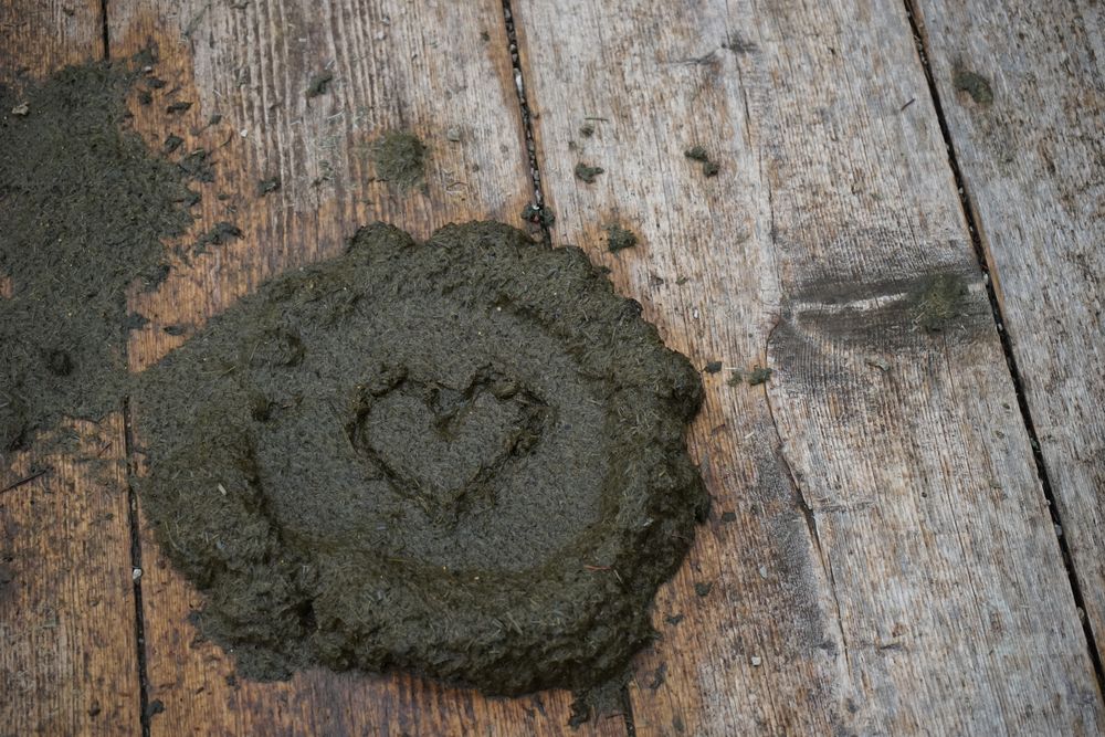 Liebevolle Scheiße! Foto & Bild | Ästhetik der sichtbarkeit, specials ...