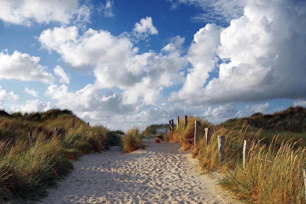 Lied vom Meer Foto & Bild | urlaub, sand, meer Bilder auf fotocommunity