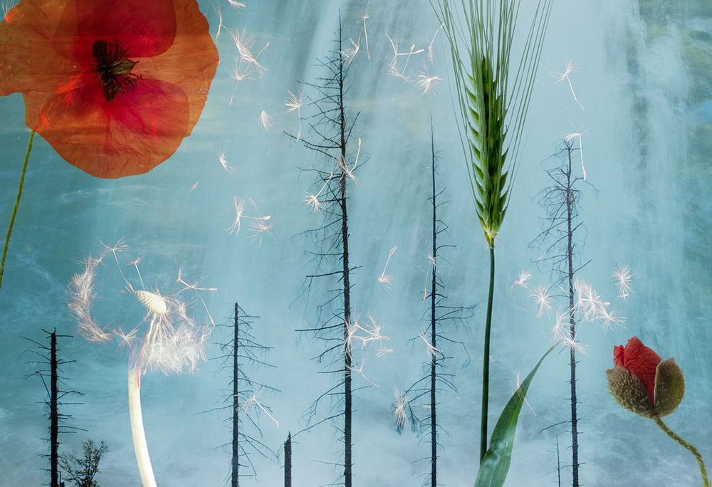 Life Foto & Bild | fotomontage, composing , composing Bilder auf ...