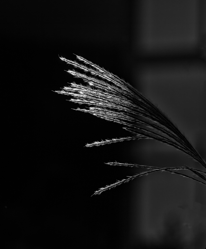 Light Is Moving On Foto Bild Techniken Fotokunst Monochrome Fine light-is-moving-on-foto-bild-techniken-fotokunst-monochrome-fine