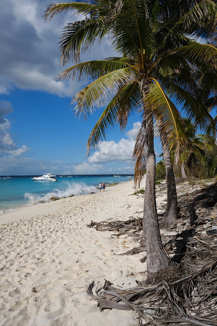 Like ice in the sunshine ... Foto & Bild | world, wasser, bäume Bilder ...