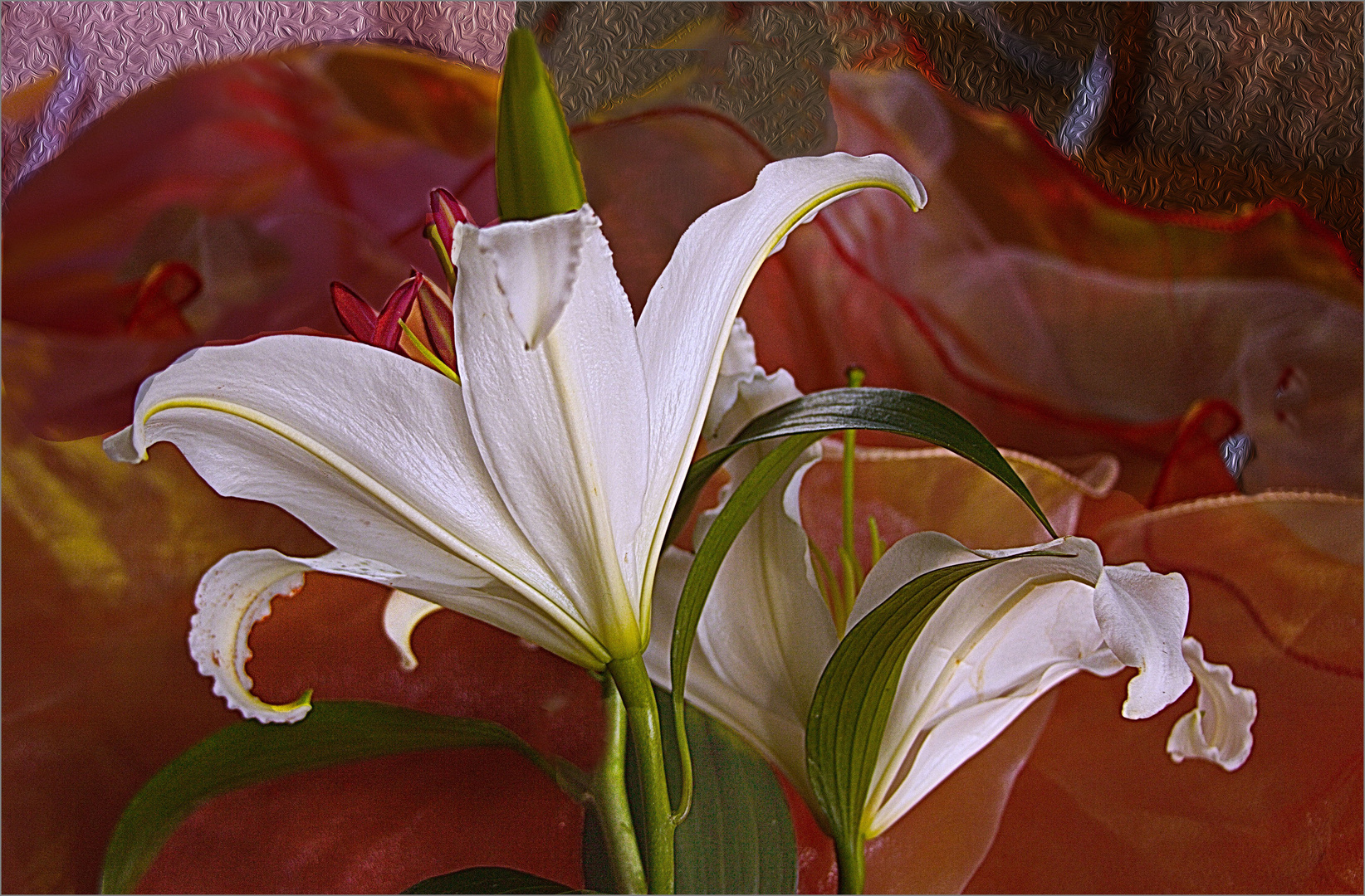 Lilias Foto & Bild | blumen , fotos, herbst Bilder auf fotocommunity