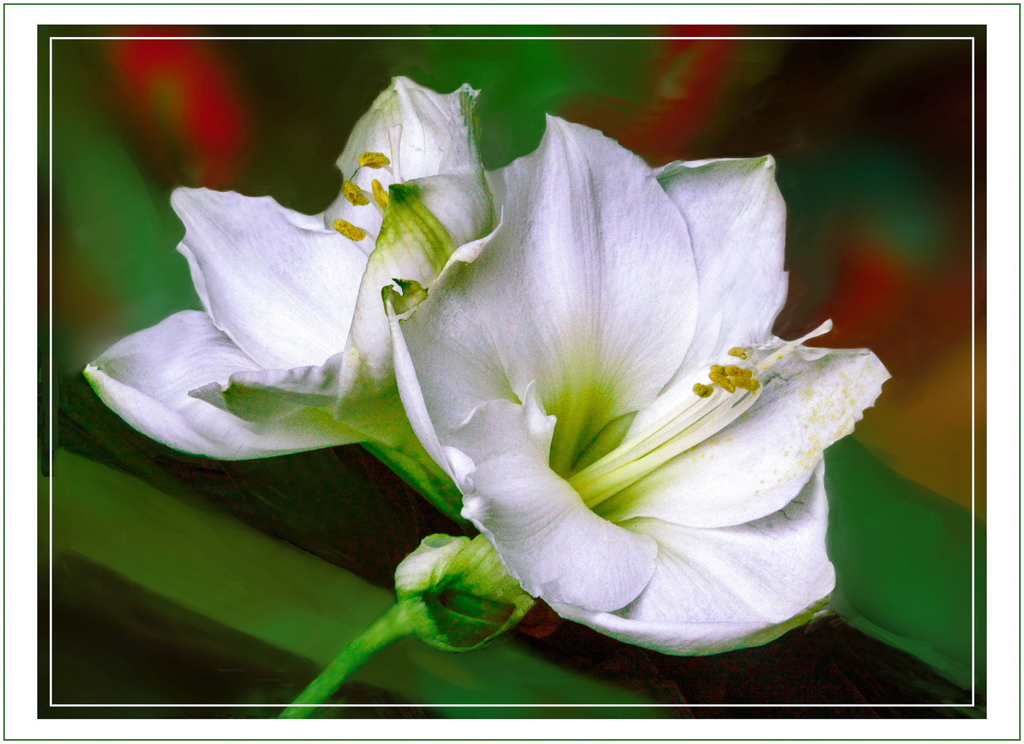 Lilien Foto & Bild | stillleben , makro, natur Bilder auf fotocommunity