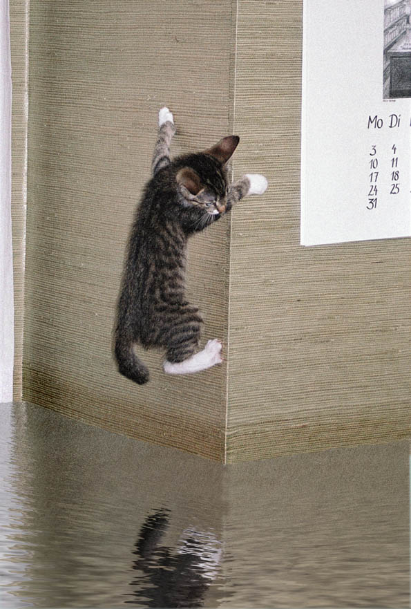 Lilli und das Wasser Foto & Bild | x-archiv, digiart Bilder auf ...