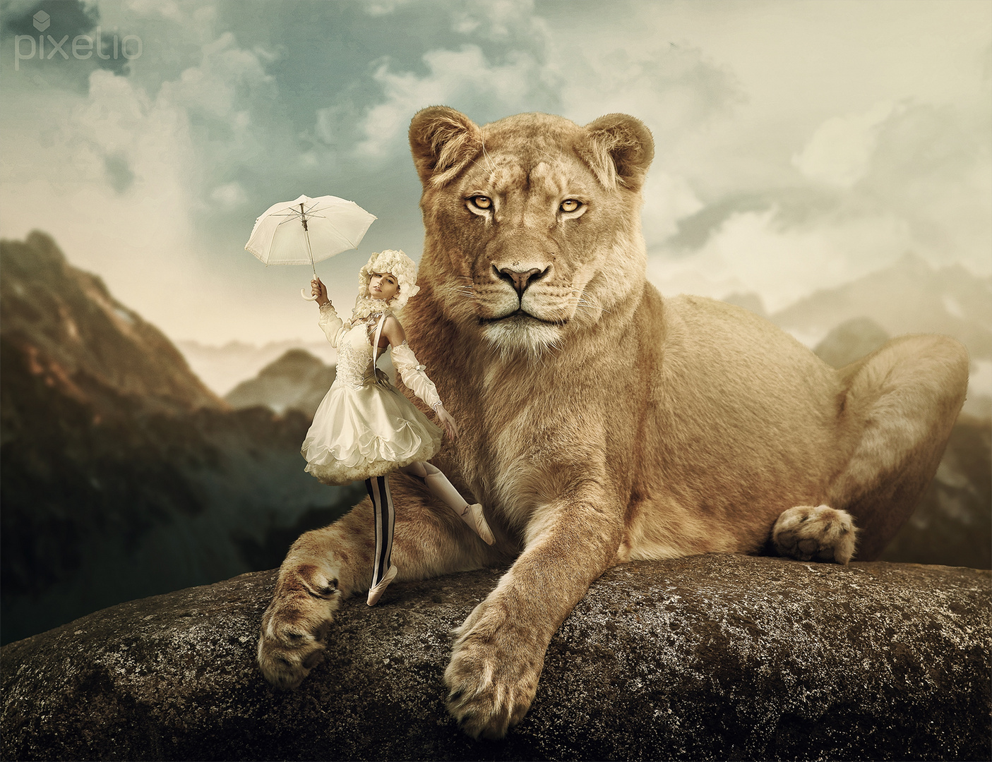 limited freedom Foto & Bild | fotomontage, composing , composing Bilder auf fotocommunity