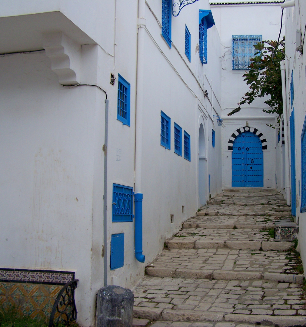 l'impasse .... photo et image | africa, north africa, tunisia Images ...