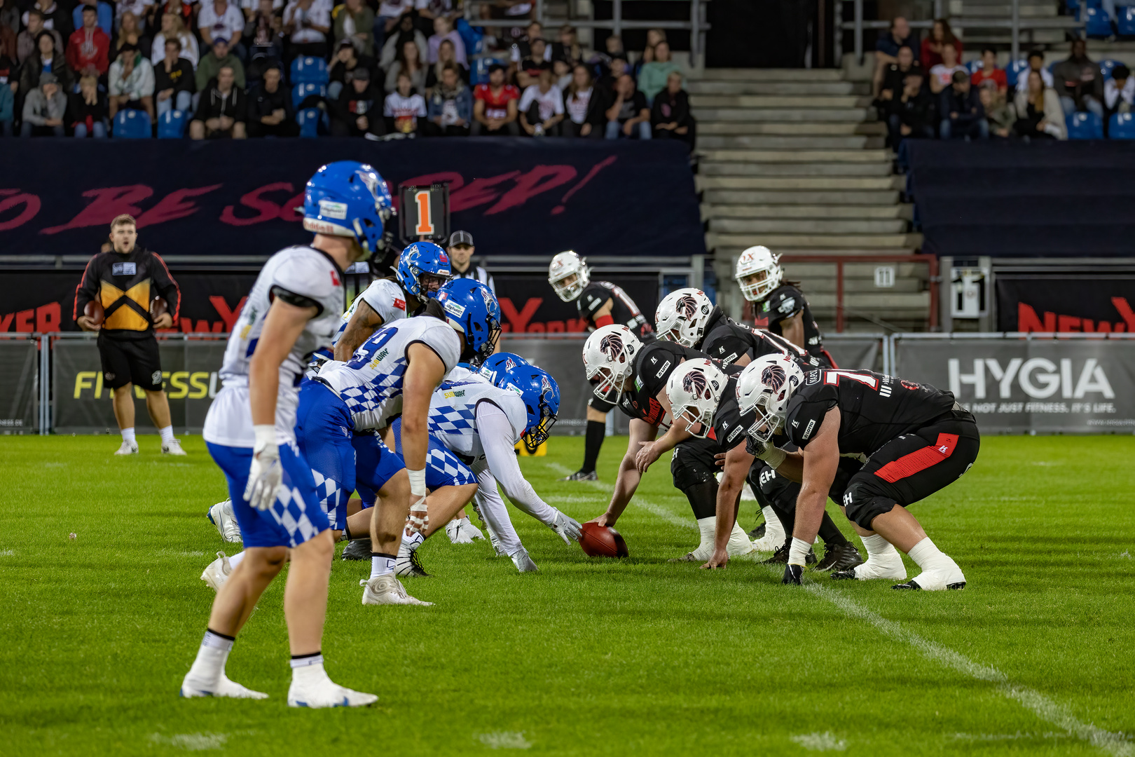 Line of Scrimmage Foto & Bild | sport, deutschland, europe Bilder auf ...