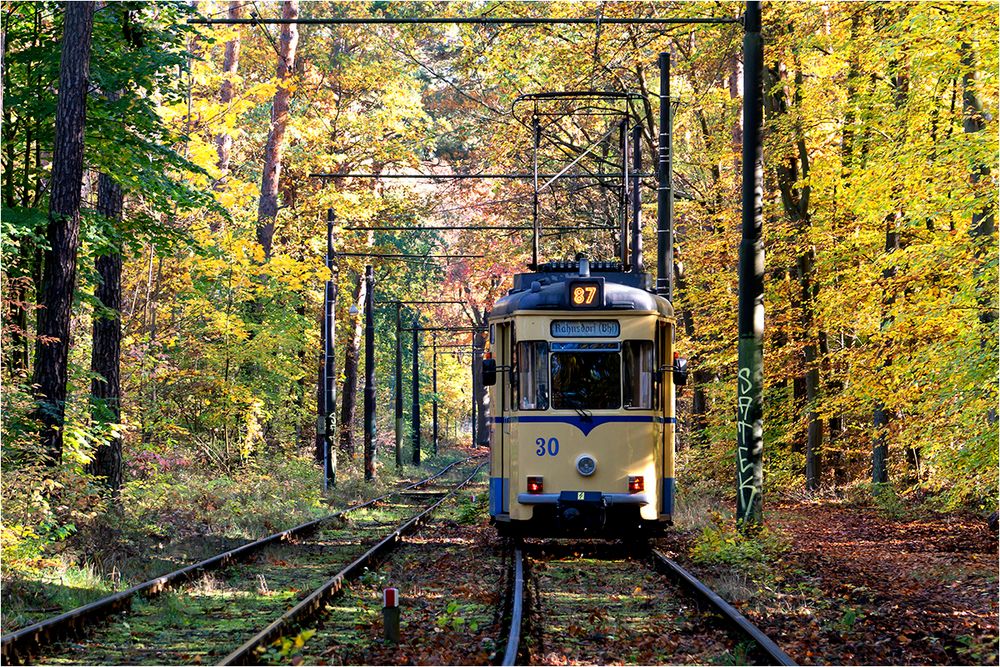 Linie 87 Foto & Bild | spezial, natur, herbst Bilder auf fotocommunity