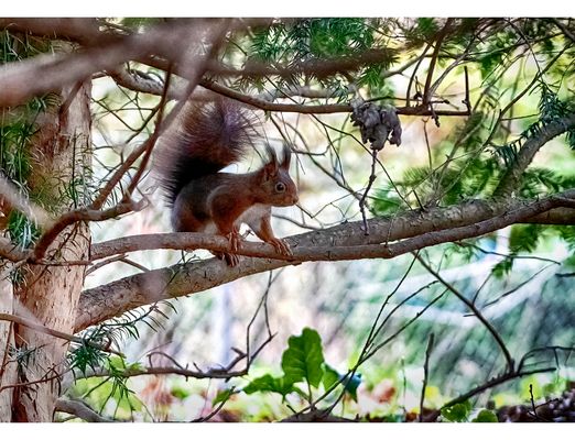 Düsseldorf Bilder & Fotos