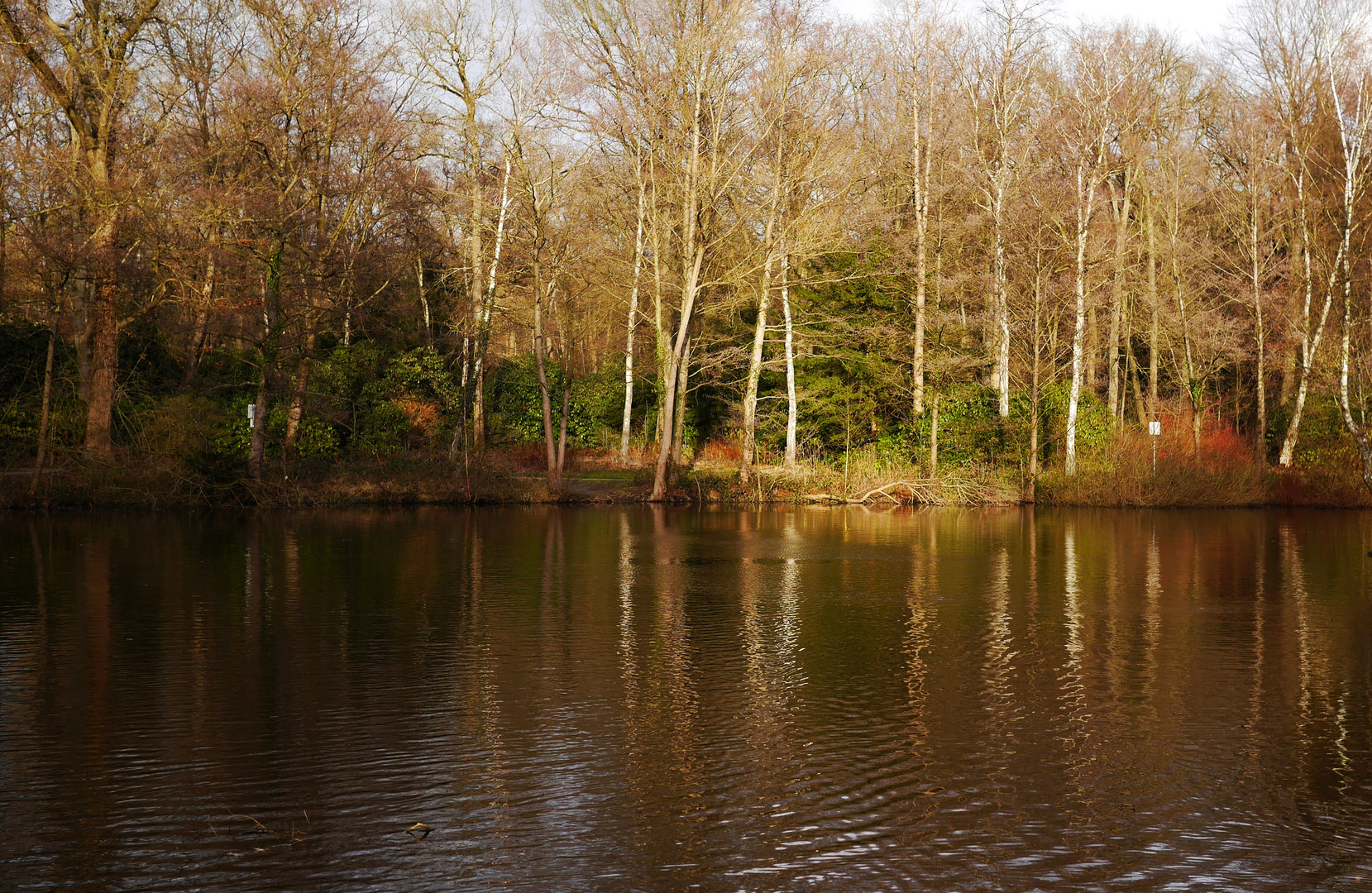 lllllll Foto & Bild | landschaft, lebensräume, projekte Bilder auf ...