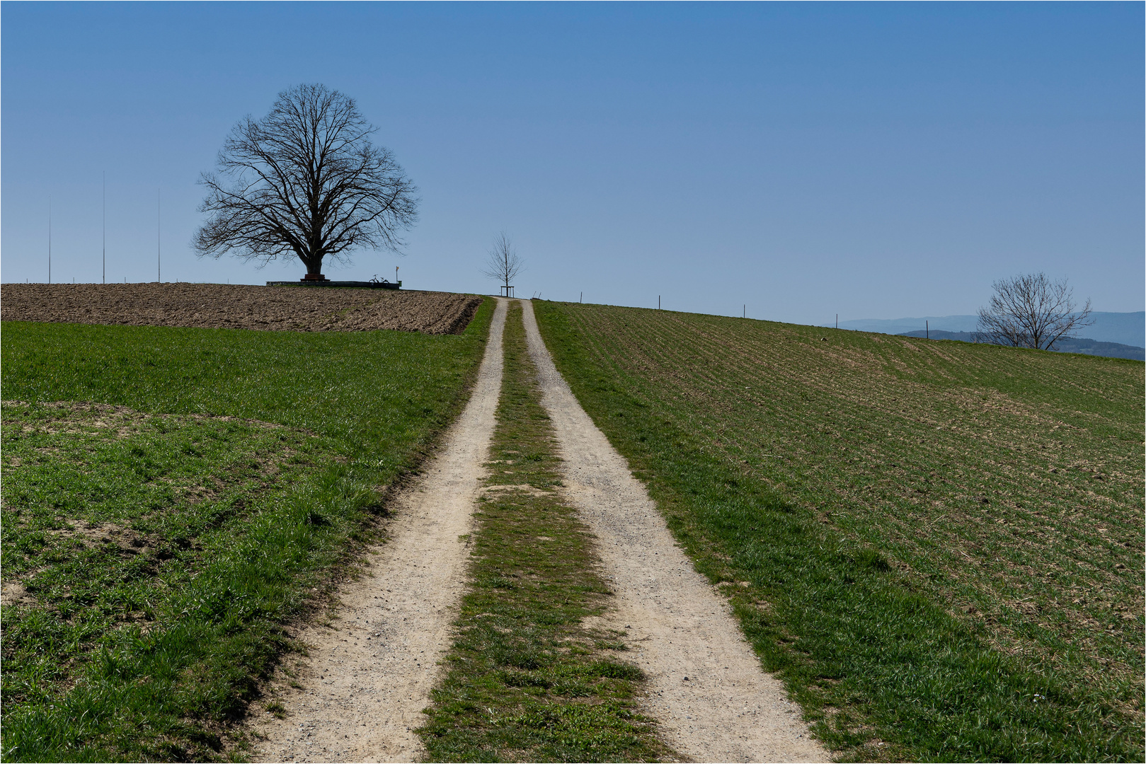 Loberg Ersigen Foto & Bild | europe, schweiz & liechtenstein ...