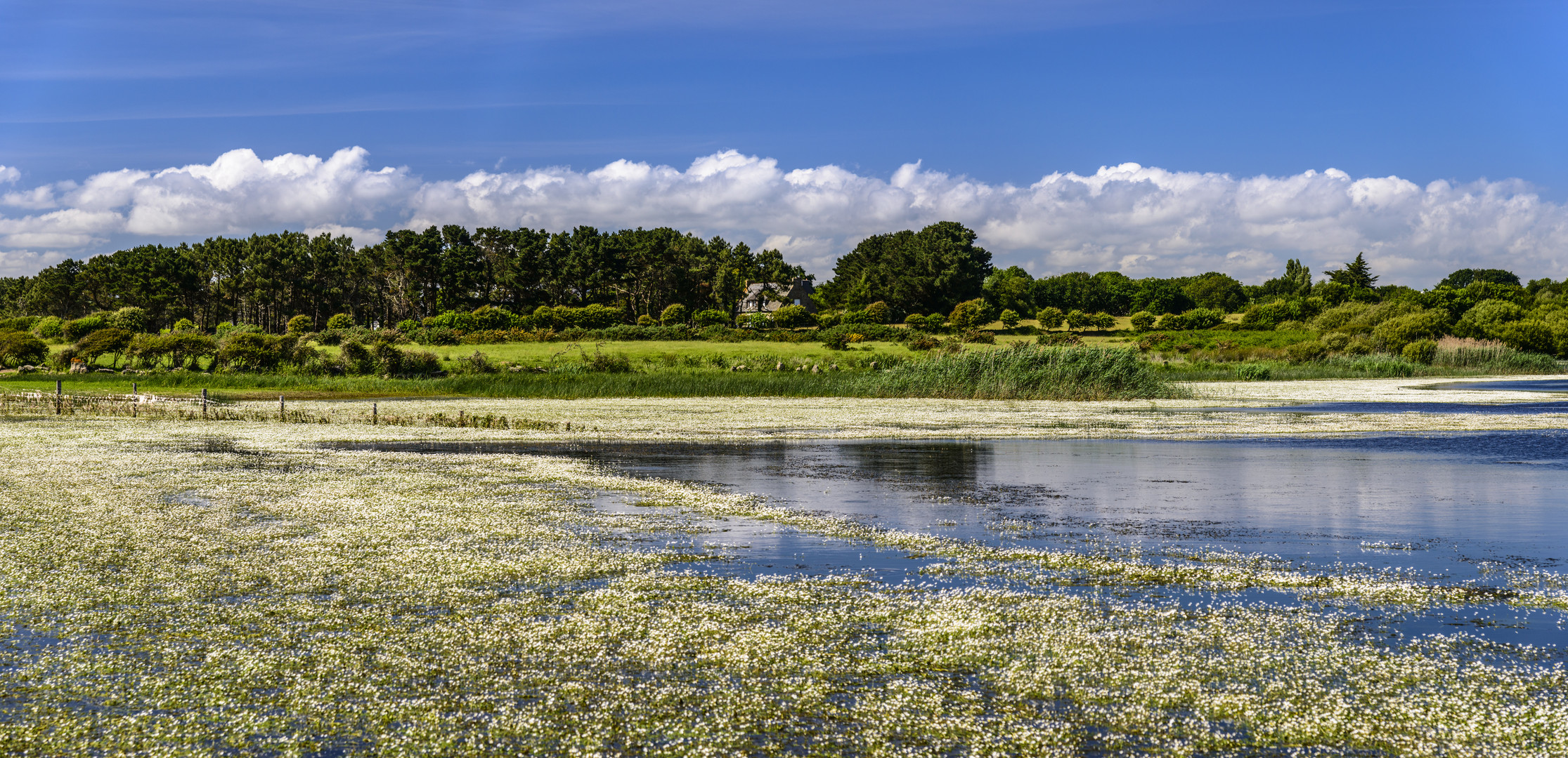 Loc'h Lougar, Trévignon, Bretagne, France Foto & Bild | wasser, bäume ...