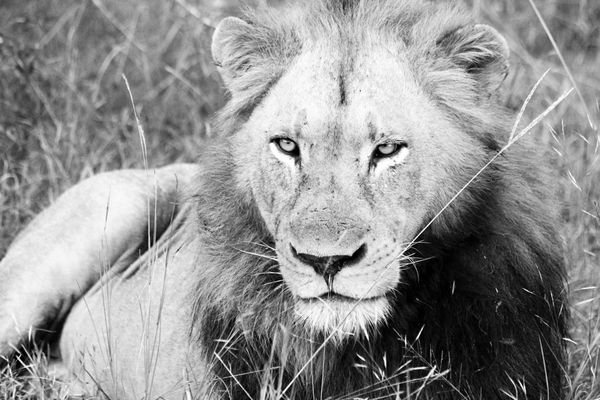 Daniel Wolfer - Fotos & Bilder - Fotograf aus Vaihingen an der Enz ...