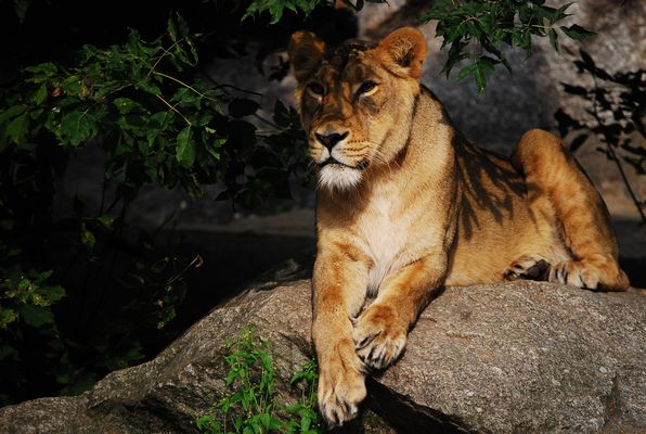 Robert Leuschner - Fotos & Bilder - Fotograf | fotocommunity