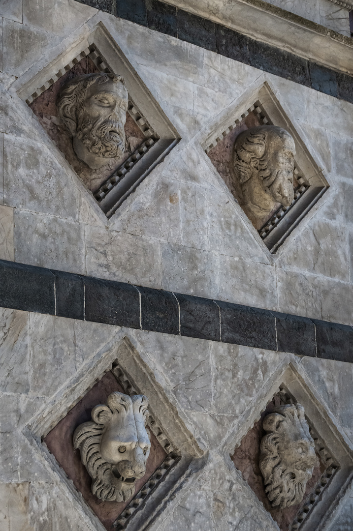 Löwen und andere Dominanzen Foto & Bild | world, dokumentation, 2011 ...