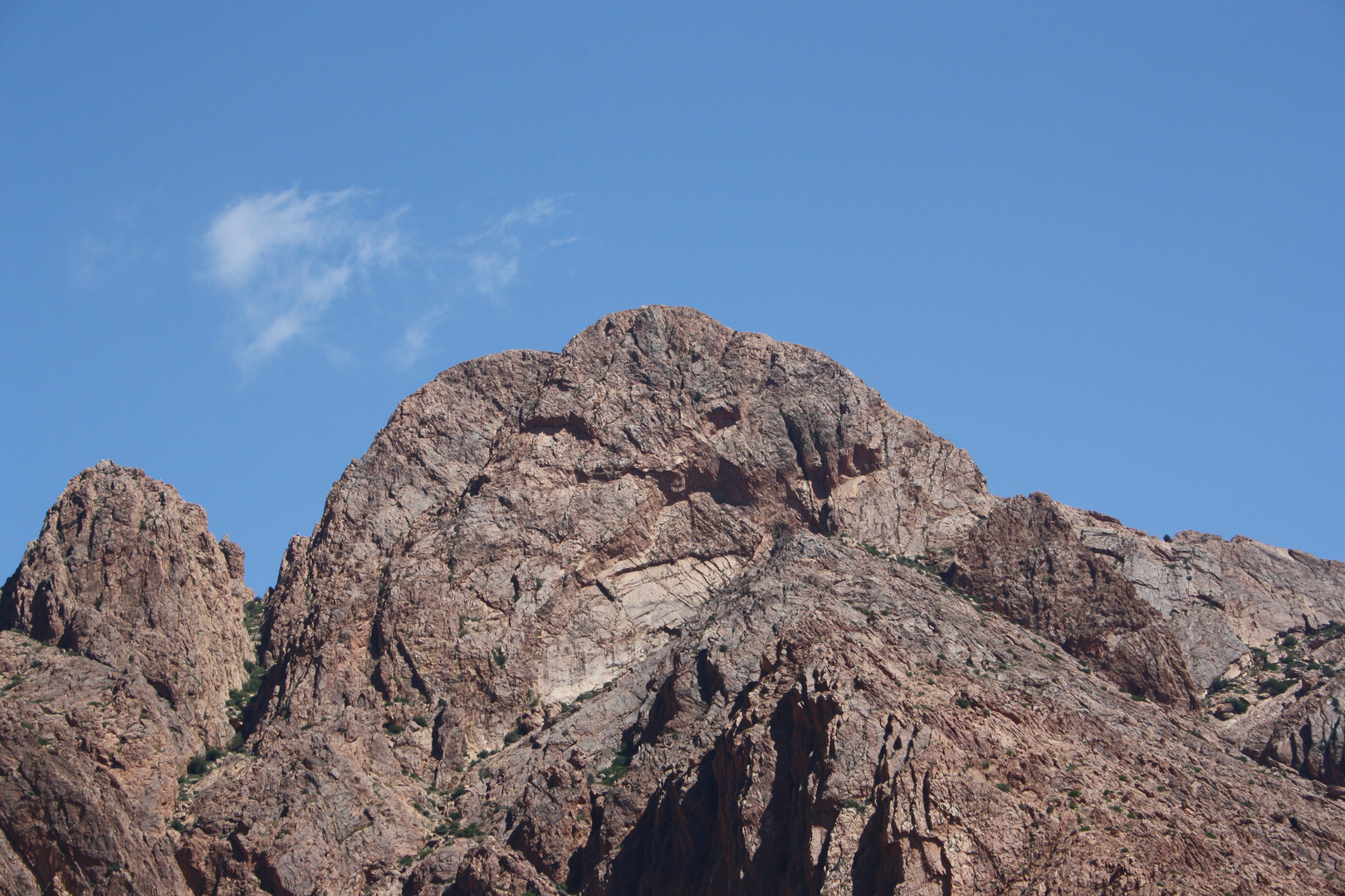 Löwenkopf im Tal der Ammeln, Marokko Foto & Bild | archiv projekte ...