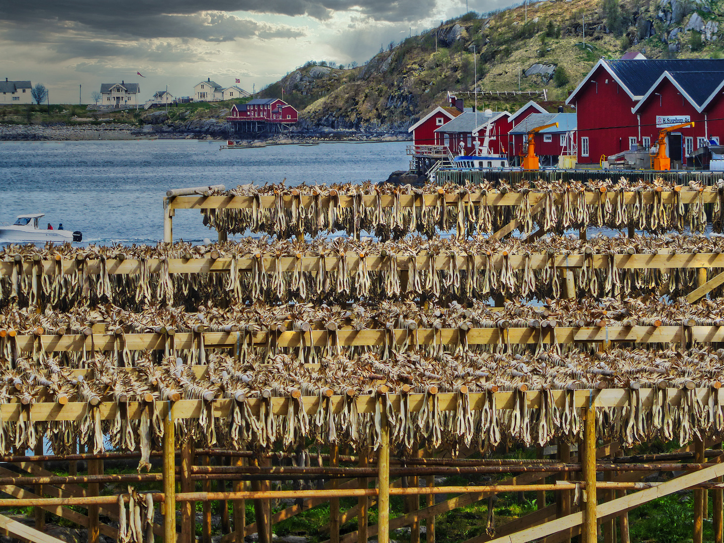 Lofoten - Stockfisch Foto & Bild | europe, scandinavia, norway Bilder ...