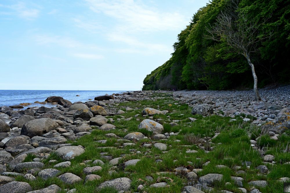 Lohme Strand Foto & Bild | rügen ostsee, ostsee, rügen Bilder auf ...
