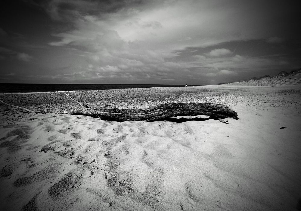 Lonely Beach Foto & Bild | himmel, natur, see Bilder auf fotocommunity