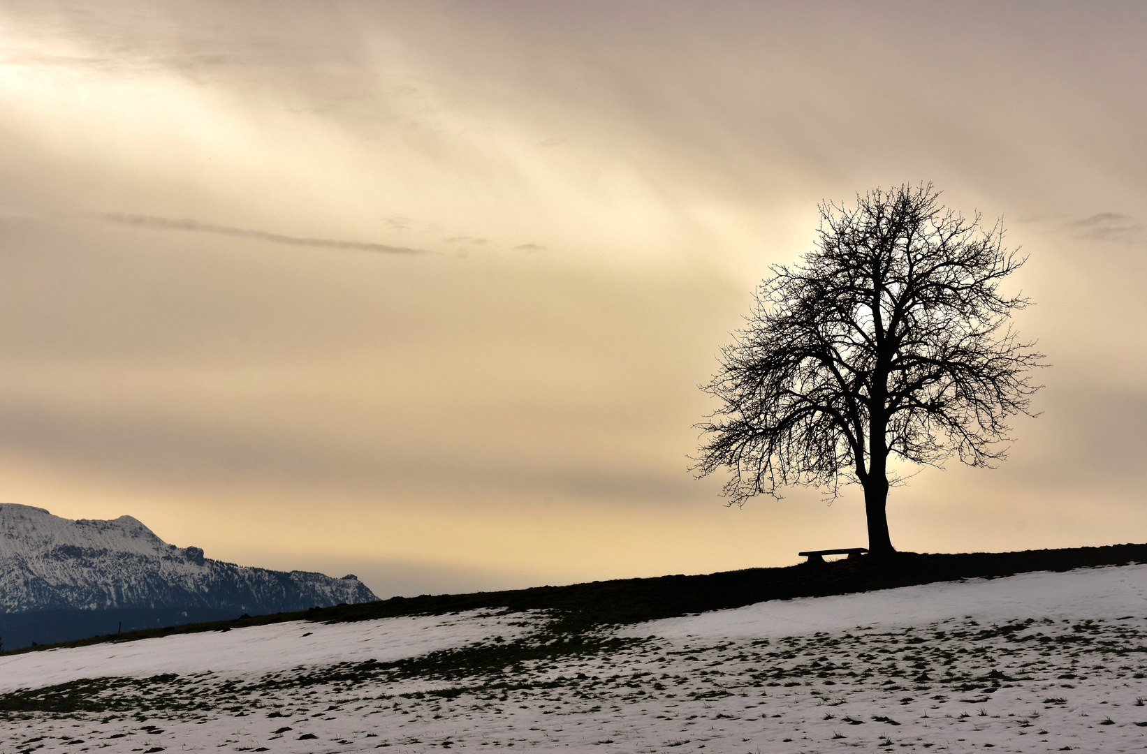 Lonely Tree Foto & Bild | jahreszeiten, winter, himmel Bilder auf ...