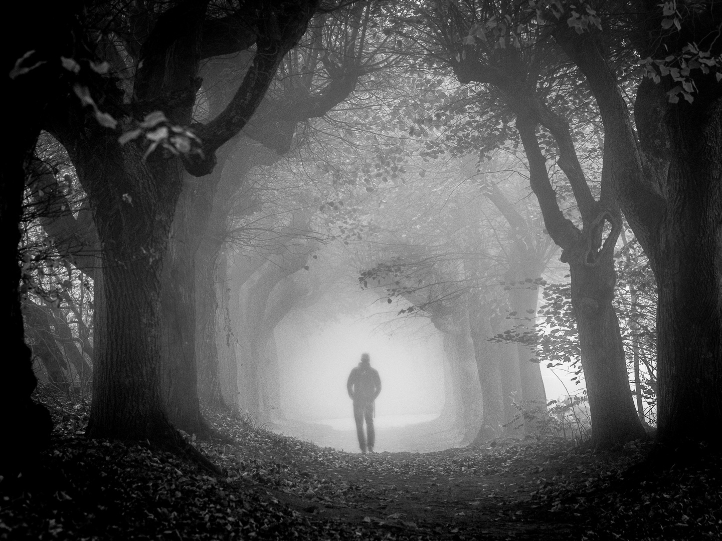 Lonely walk Foto & Bild | fotos, outdoor, natur Bilder auf fotocommunity