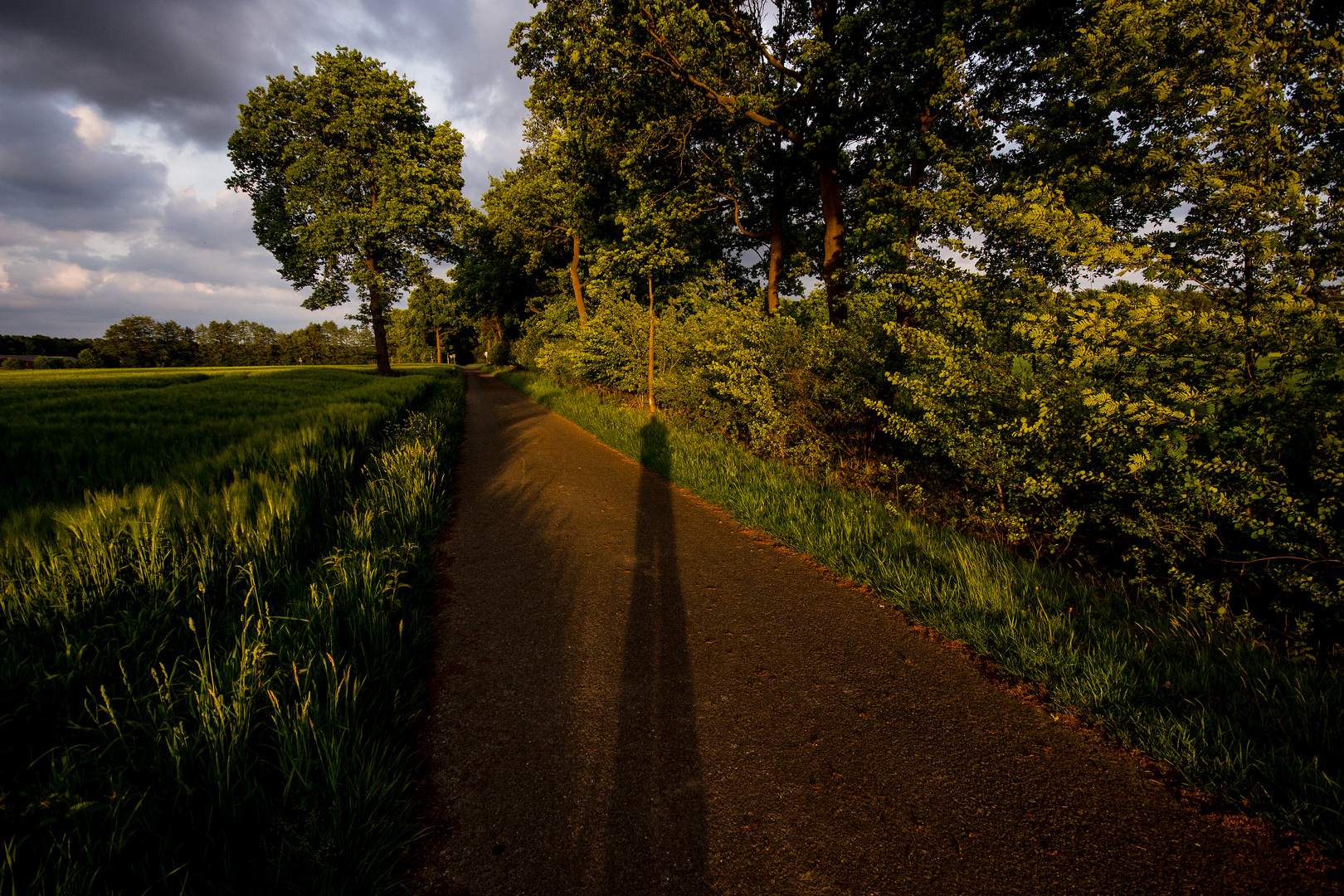 Long shadow at sunset Foto & Bild | fotos, nature, sunset Bilder auf ...