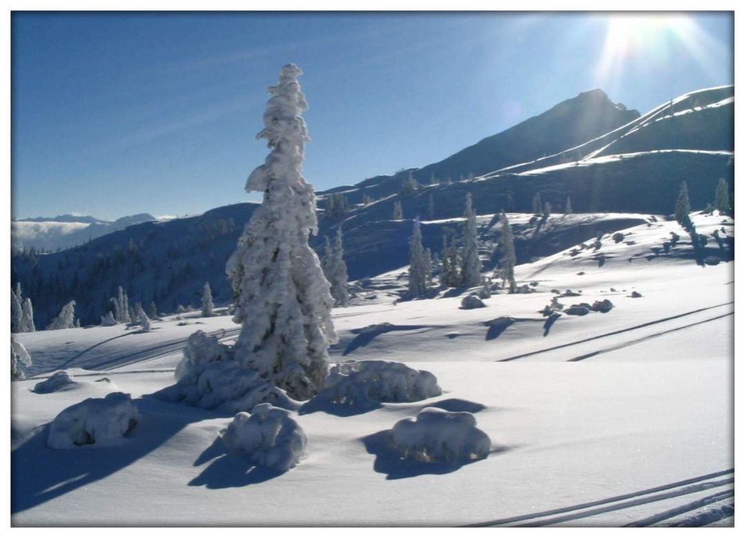 Look and look again! Foto & Bild | world, spezial, natur Bilder auf ...