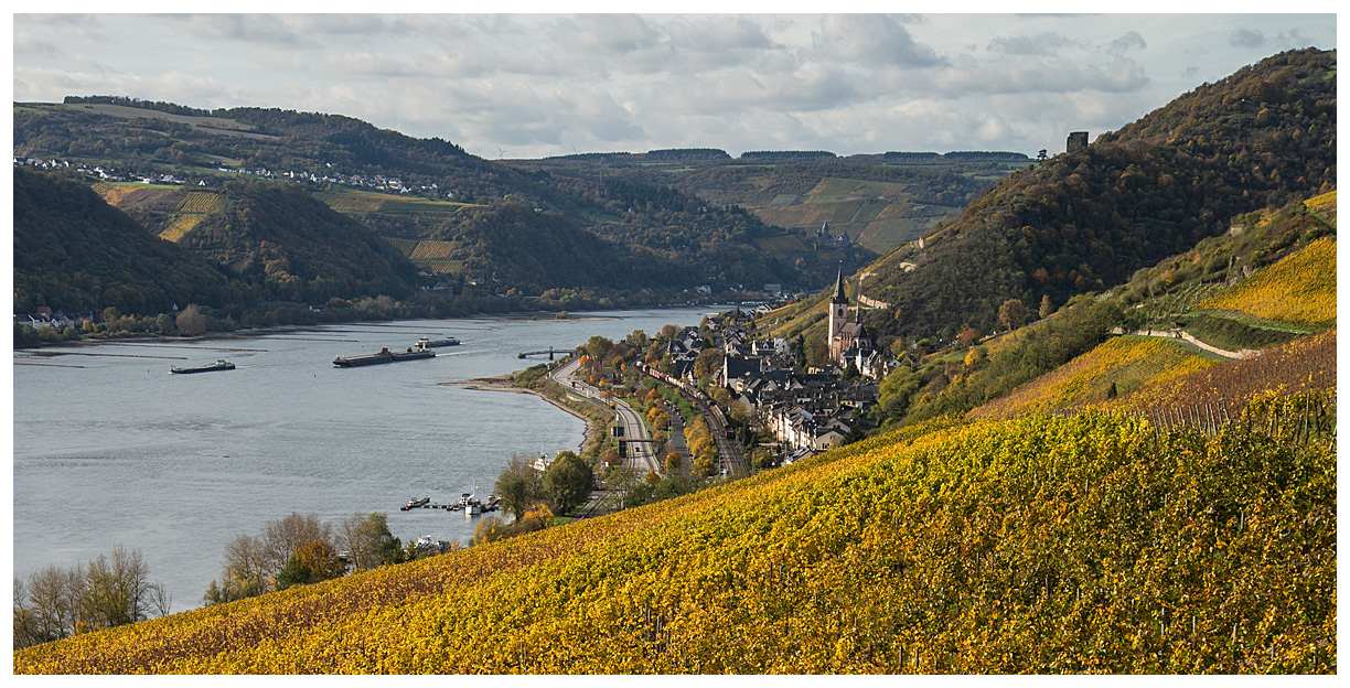 "Lorch rheinabwärts" Foto & Bild | world, natur, herbst Bilder auf ...