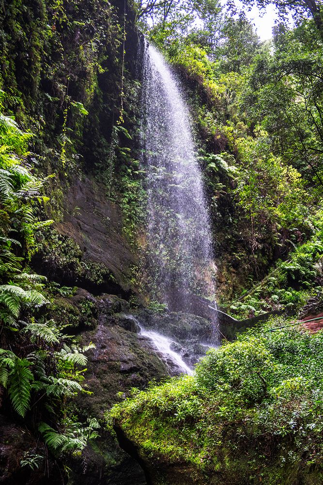 Los Tilos Foto & Bild | europe, canary islands die kanaren, spain ...