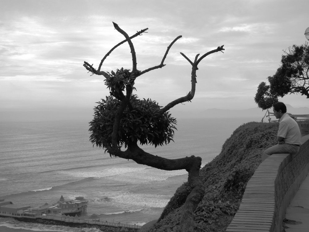 los tres elementos Imagen & Foto | elementos , naturaleza Fotos de ...