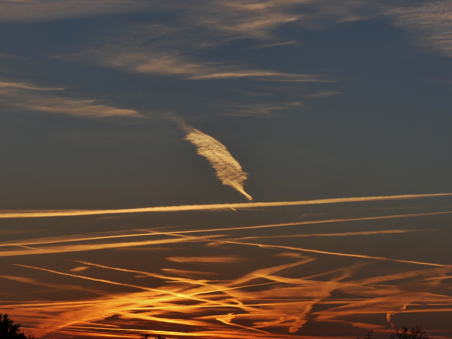Lost angel wing Foto & Bild | sonnenuntergang, himmel, natur Bilder auf ...