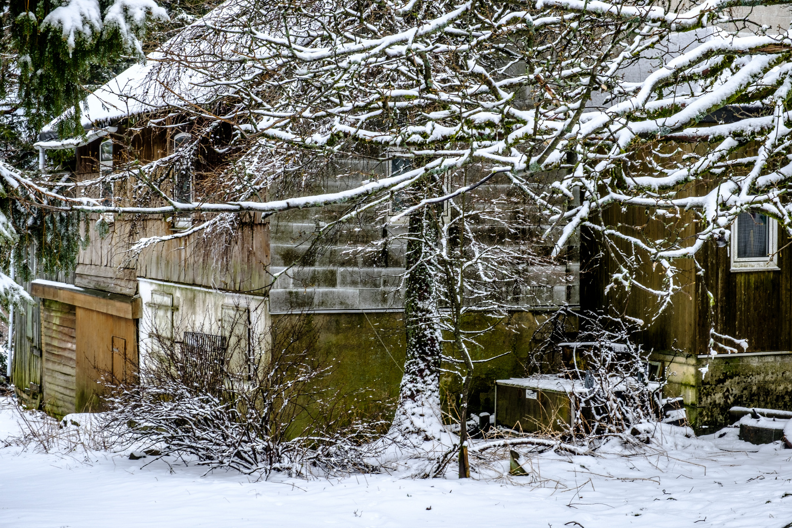 Lost in snow Foto & Bild | bäume, winter, schnee Bilder auf fotocommunity