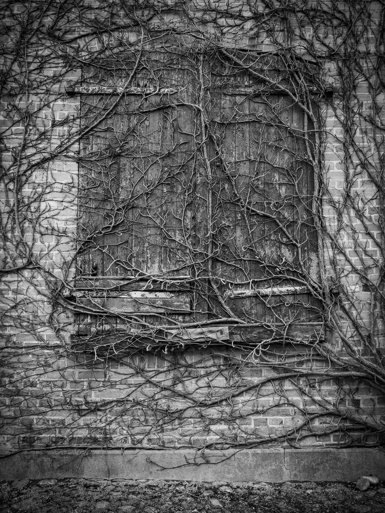 Lost Place #1 Foto & Bild | fotos, lost places, monochrome Bilder auf ...