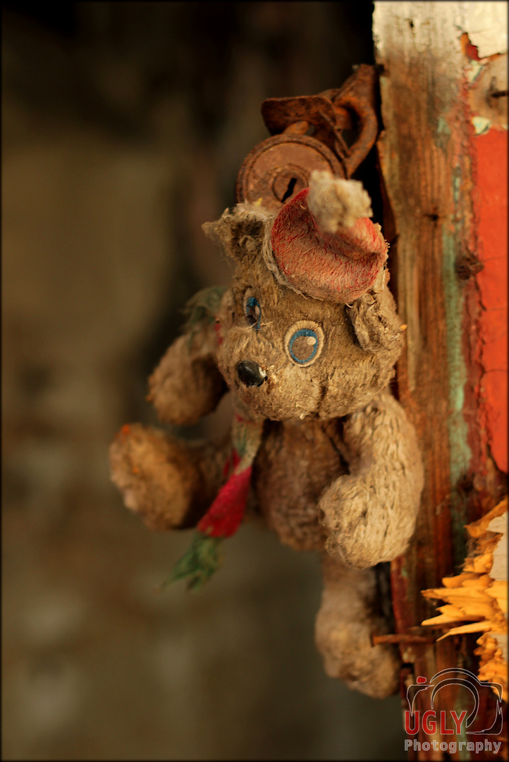 "Lost Teddy" Foto & Bild | stillleben, teddys, urban exploring Bilder ...