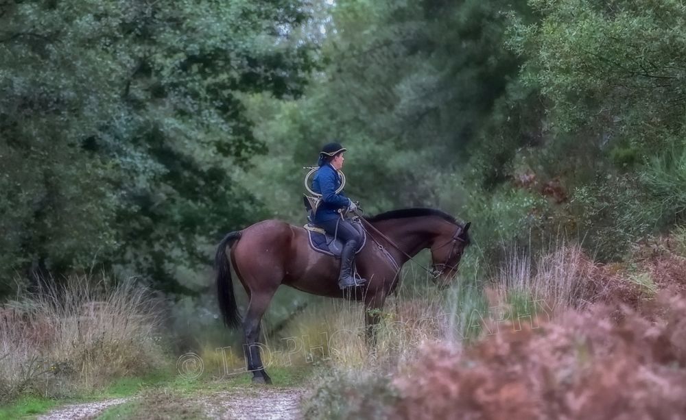 Louison photo et image | nature Images fotocommunity