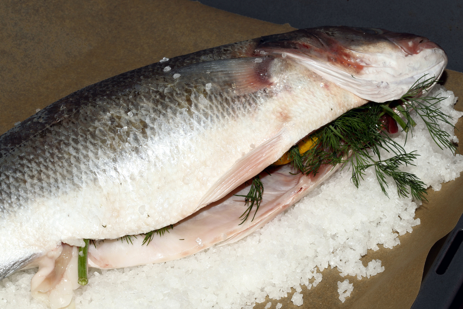 Loup de Mer a Foto & Bild | stillleben, food-fotografie, fische ...