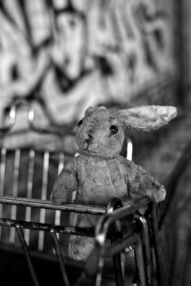 LP002 Foto & Bild | Bilder auf fotocommunity