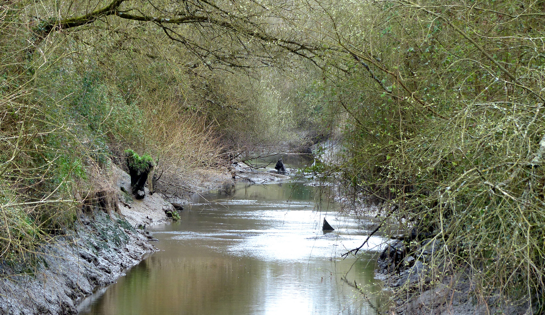 L'ÉTIER photo et image | paysages, lacs, rivières, cascades, bouguenais ...